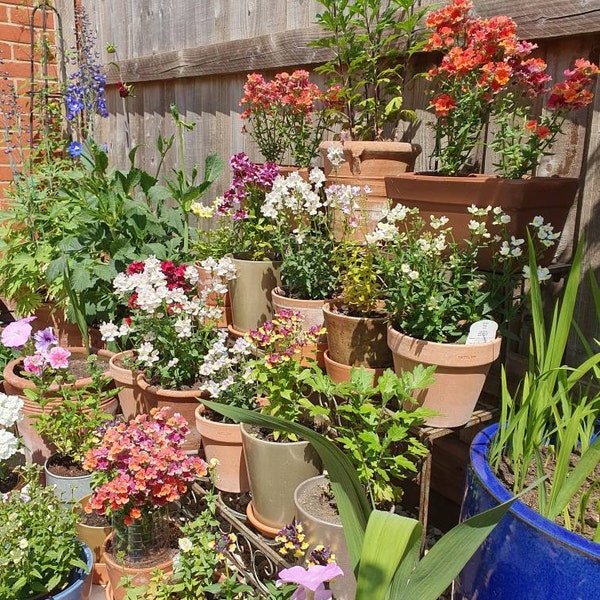 3 Tier Stepped Large Metal Verdigris (reddish Green) Decorative Plant ...