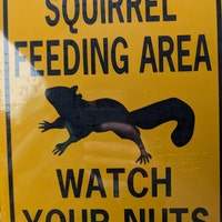 Pollen When Flowers Can't Keep It in Their Plants Funny Garden Sign ...