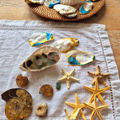 White Screw Shells 3-8cm Unicorn Horns Spiral Shell Beach Wedding ...