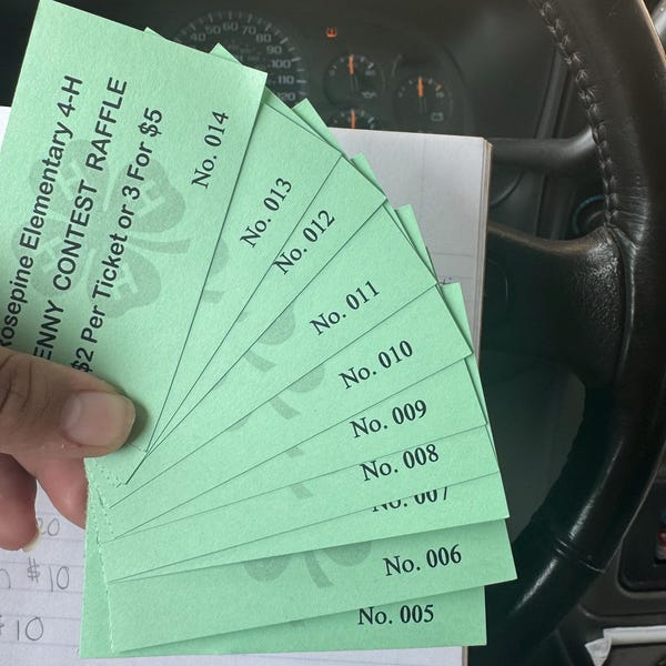 Custom Printed Raffle Tickets for Your Fundraiser! Your Choice of Card ...