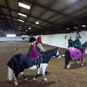 Dragon Slayer Horse Chanfron Face Armor in Silver Medieval | Etsy