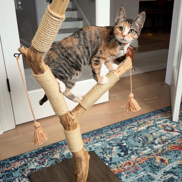 Unique Scratching Post, Cat Climbing Tree With Toys, Solid Wood ...