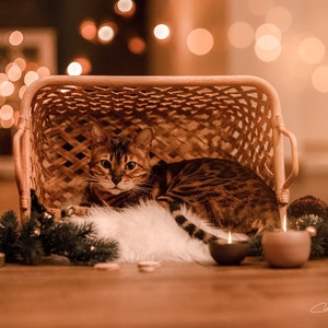 27 Coffee Overlays Coffee Art Overlay Latte Art Overlay - Etsy