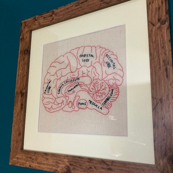 DIY Brain Embroidery Pattern, Brain Anatomy Embroidery Pattern ...