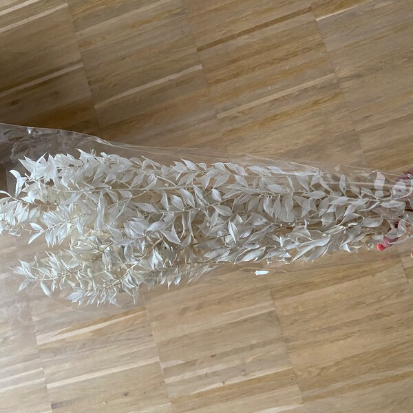 Dried Italian Ruscus Leaf Branches，preserved White Leaves Branches ...