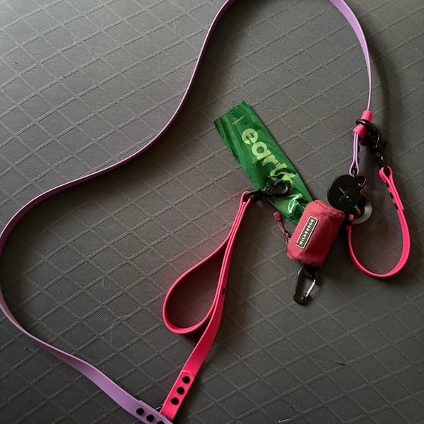 Funny Sayings Tag, Lightweight Tag, Funny Tag, Fun Dog Tag, Aluminum ...