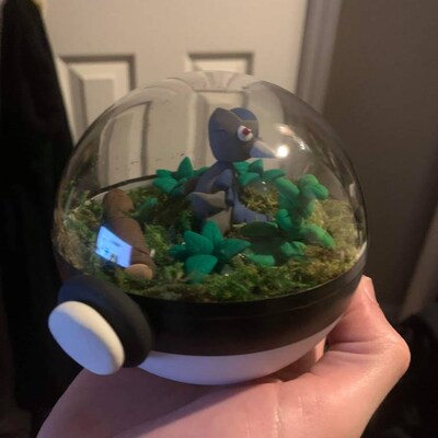 Build Your Own Pokeball Terrarium Pokemon Nintendo Custom Design Your ...
