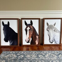 Horse Physical Assessment Form | Horse Bodywork | Equine Form | Horse ...