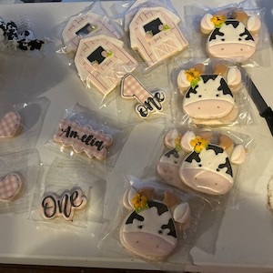 Top Gun Themed Birthday Cookies Dozen - Etsy