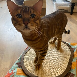 Handmade Cat Scratcher. Pet Furniture, Sisal Rope, Cat Scratching Pads ...