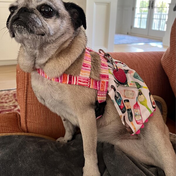 The Harlow // Halloween Dog Harness Dress, Dog Harness Dress, Dog Dress ...