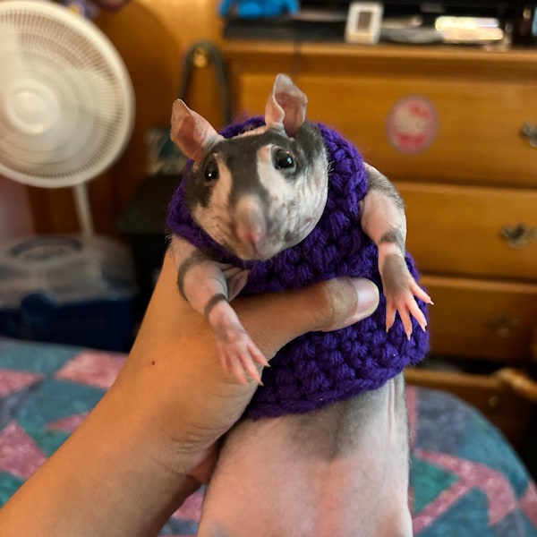 Rat Sweater for Rat Crochet Sweater for Small Pet Sweater for Fancy Rat ...
