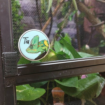 Enclosure Name Plate Ceramic White's / Dumpy Tree Frog - Etsy