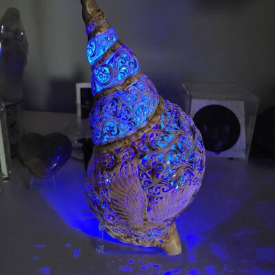 Carved Pearl Turbo Conch Shell Night Themereal and Natural - Etsy