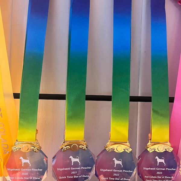 Custom Crystal Medal, Customizable Award, Add Logo, Custom Background ...