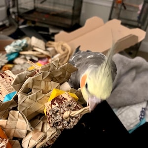 Picasso Picker Bird Toy | Etsy Canada