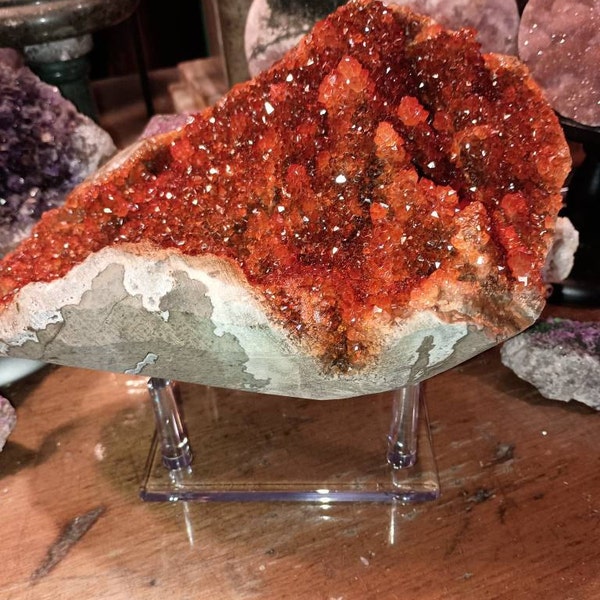 Beach Decor Seashell Stand - Large and Small Display Stands - Shell ...