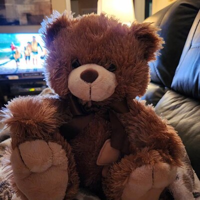 Awesome Ollie the Teddy Bear With an Ostomy-children's Book - Etsy