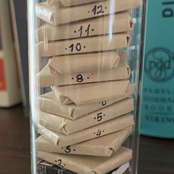 Mini TBR Jar, Book Tube With Random or Custom Books Gift for Book Club ...