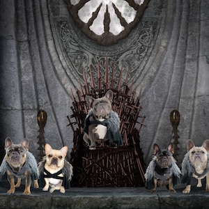 Iron Throne Digital Backdrop Medieval Fantasy Throne Room | Etsy UK