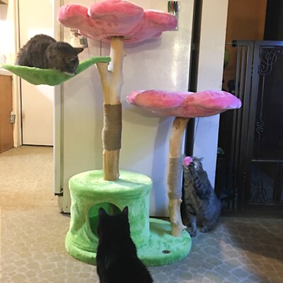 Meybi Font, Exclusive, Handwritten Font, Hand Lettered Typeface ...