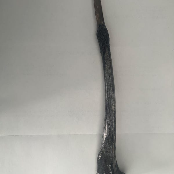 Bone Jewelry, Bone Ear Weights, Vertebrae, Vertebra, Gothic, Ear ...