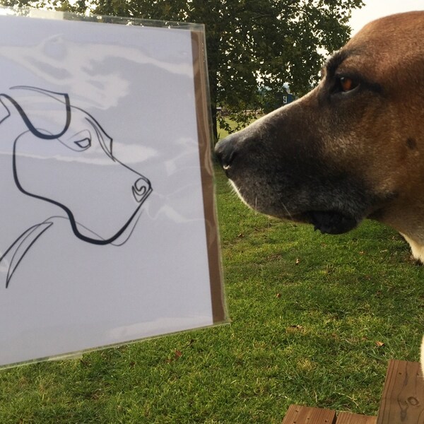 Great Dane Art Print, Single Line Drawing, Great Dane Gift, Black and ...