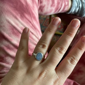 2 3/8 Fifi Rose Paisley Nautilus Shell 925 Sterling | Etsy