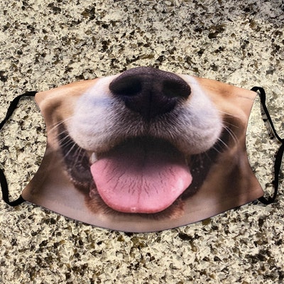 Choose Your FUNNY MASKS With 2 Filters Optional. Nose Wire Included ...