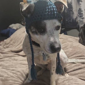 Corgi Beanie Dog Beanie Corgi Hats Dog Hat Dog Beanie Fur Baby Beanies ...