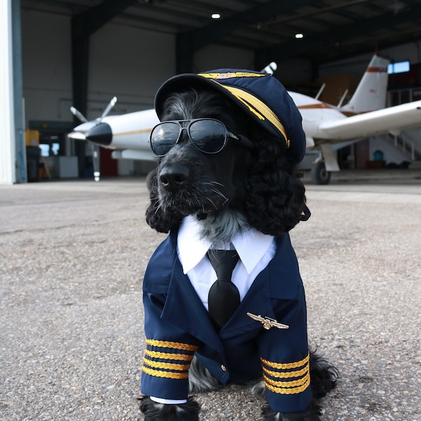 Custom Made Dog Cat Pet Pilot Captain Aviator Uniform Blazer Coat and ...