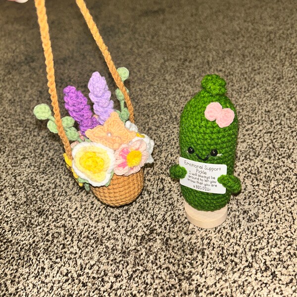 Emotional Support Pickle Cute Crochet Positive Pickle Personalized ...