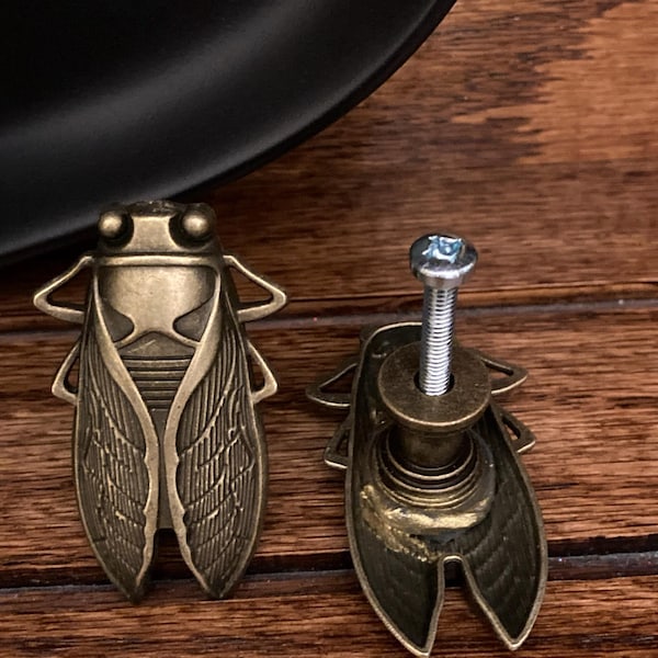 Insect Drawer Knobs in Brass - Cicada Cabinet Knobs - Insect Dresser Knobs in Brass - Entomology ...
