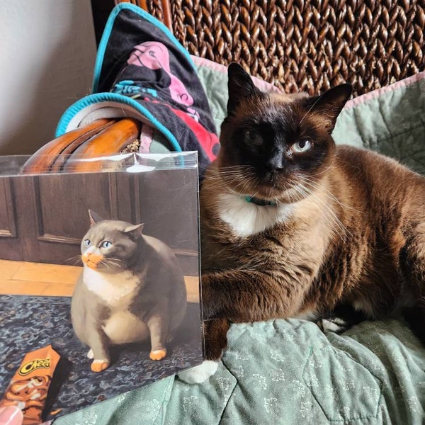 Fat Cat Eats Cheetos and Experiences Existential Dread | Meme Art Re ...