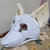 DIGITAL Shark or Manokit Tail Pattern for Fursuits PDF Download - Etsy