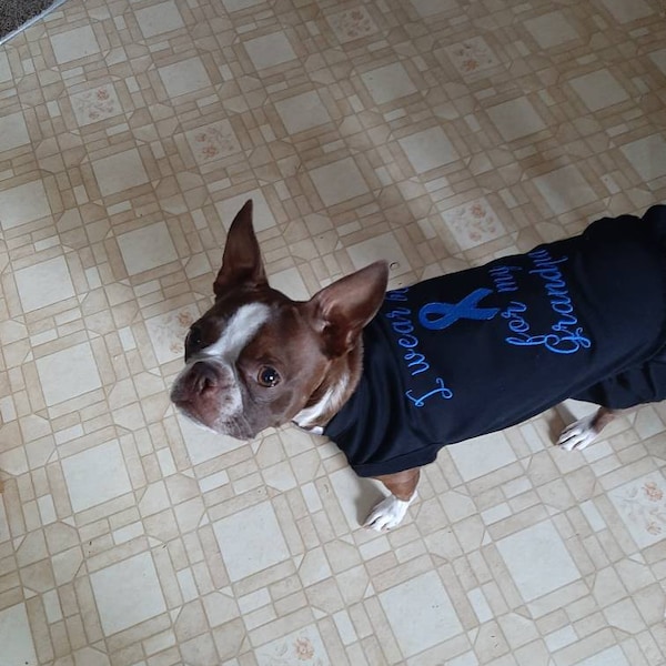Cancer Awareness Ribbon Dress or Shirt for Dog, Cancer Walk Shirt ...
