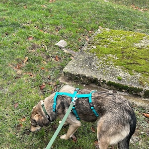 Set of 4 Formula 1 Cars, Pictograms in Png, Svg, Eps and Dxf, Clipart ...