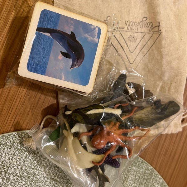 Montessori and Waldorf Learning Sea Life Animals Sustainable Match Toys ...