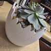 Ballerina Vase, Ballet Flower Pot, Shoe Planter, Succulent, Cacti, Air ...