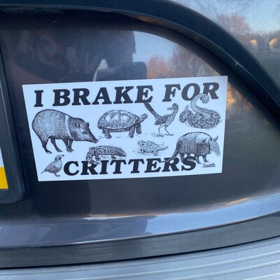 Honk If You're the Drama Bumper Sticker Womens Gifts Accessories Gen Z ...