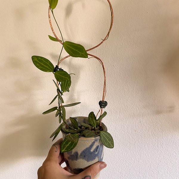 Hand Hammered & Wire Wrapped Copper Houseplant Plant Hoya Trellis - Etsy