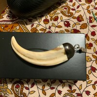 Beaded Springbok Wall Piece: the Endearing African Bushbuck in Beads on ...