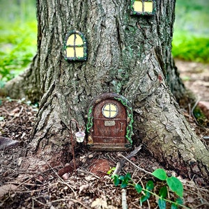 Fairy Door and Windows for Trees Glow in the Dark Outdoor Decor Fairy ...