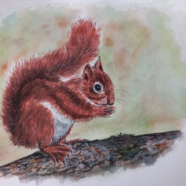 Watercolour Wildlife Painting Tutorial, Learn to Paint in Watercolor ...