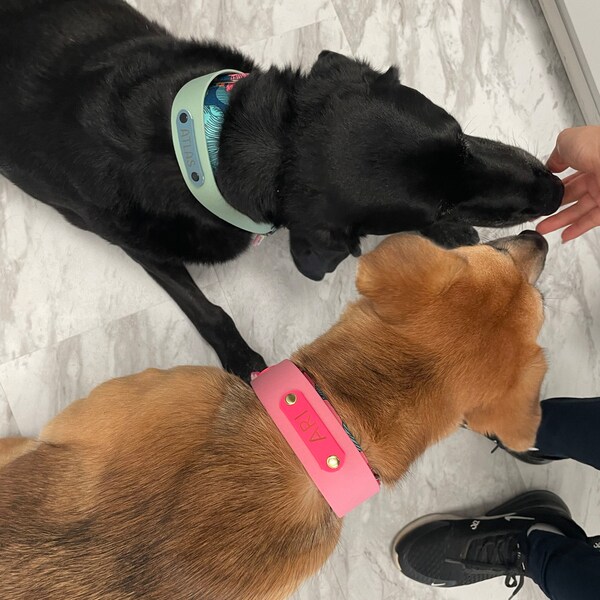 Braided Biothane Paracord Collar | Mothersday Gift| Durable Handmade ...