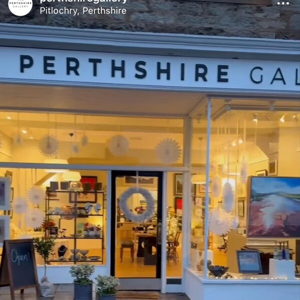 Twisted Willow Branches Tall Curly Twigs for Vase Natural Dried Stems ...