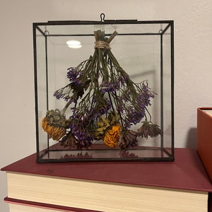 9 and 10 Tall Glass Pyramid Display Shelf Show off Those Treasures and ...