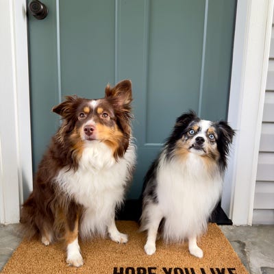 Hello Goodbye Doormat, Hello Doormat, Hello Goodbye Door Mat, Hello ...