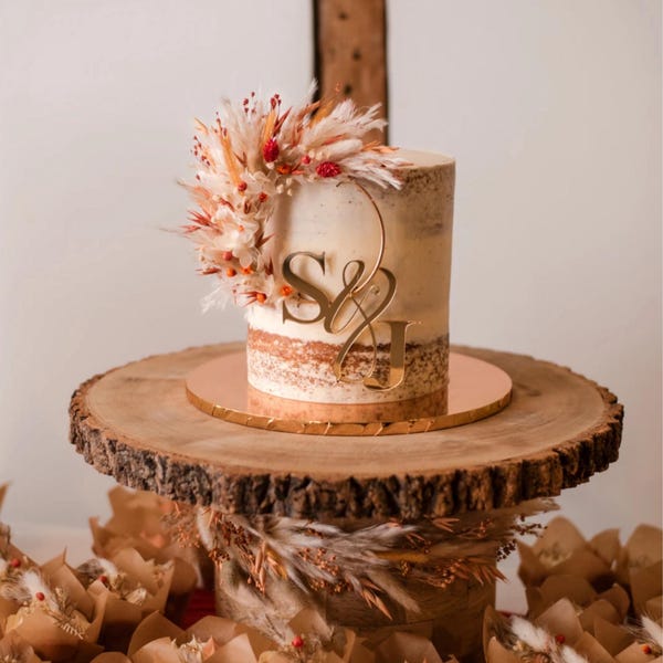 Dried Conkers Conkers in Shells ,dried Natural Conkers Nuts,fall ...