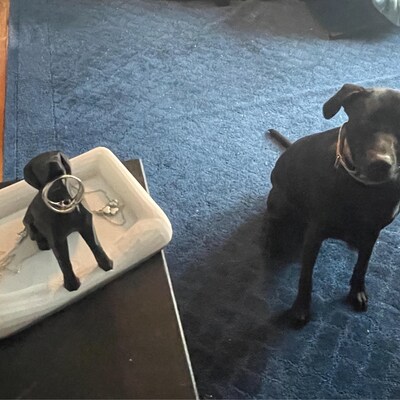 Dog Ring Dish Unique Ring Holder for Ring Display Cute Dog Engagement ...